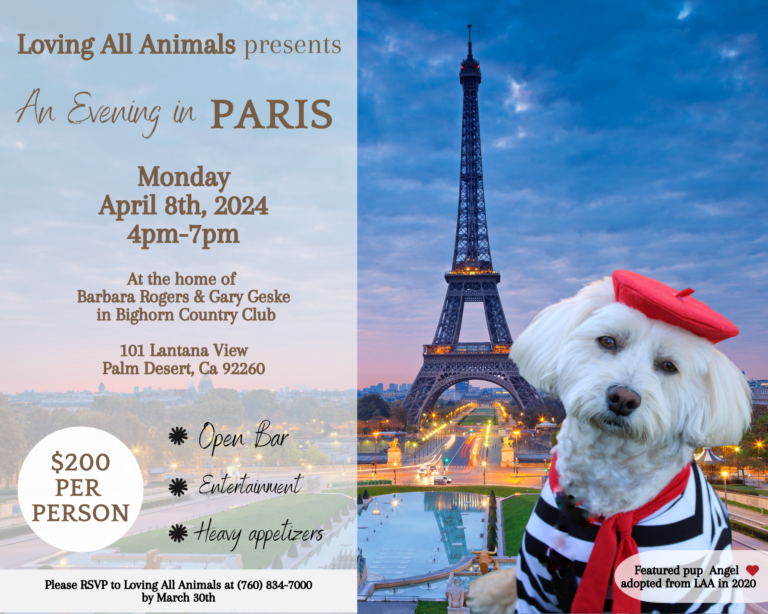 Evening in Paris w/ Loving All Animals | Loving All Animals