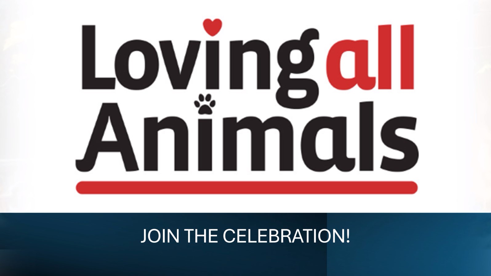 Pets | Loving All Animals
